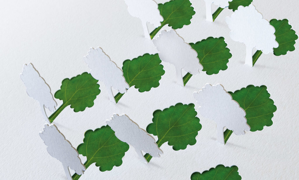 Graphot imprimeur créateur dans la Drôme - Graphot